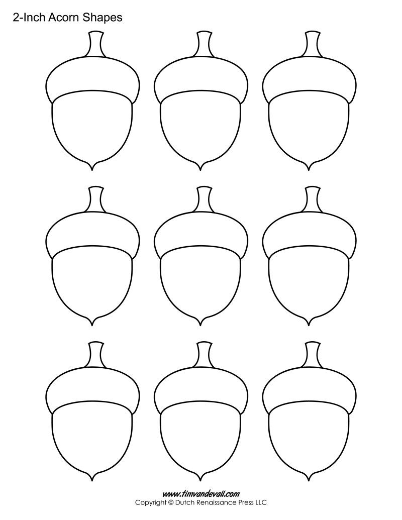 Acorn Shapes - Tim's Printables