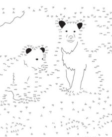Bear-Dot-to-Dot-350 - Tim's Printables