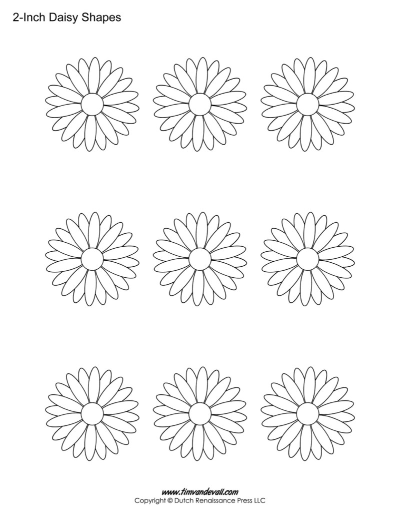 Daisy Templates / Daisy Shape Printables - Tim's Printables