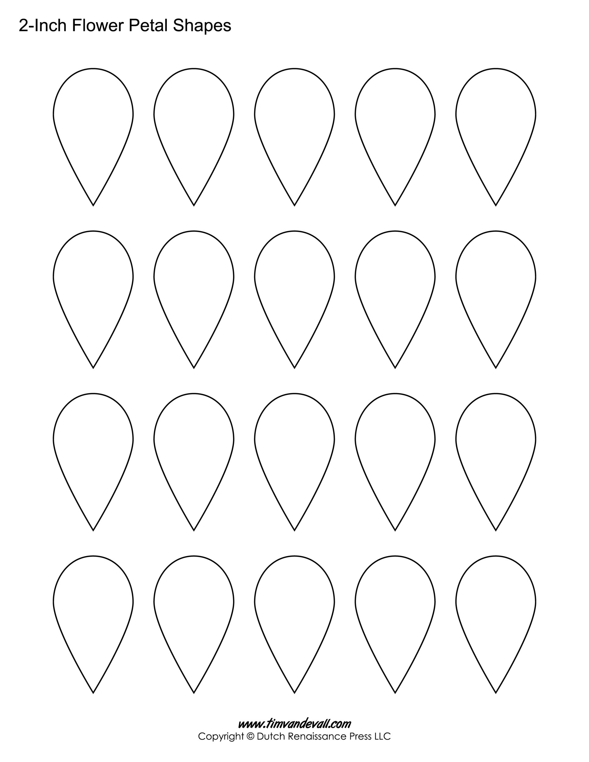 Flower Petal Shapes - Tim's Printables