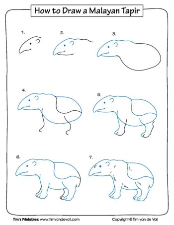 How to Draw a Malayan Tapir - Tim's Printables