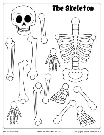 Skeleton Cut and Paste - Tim's Printables