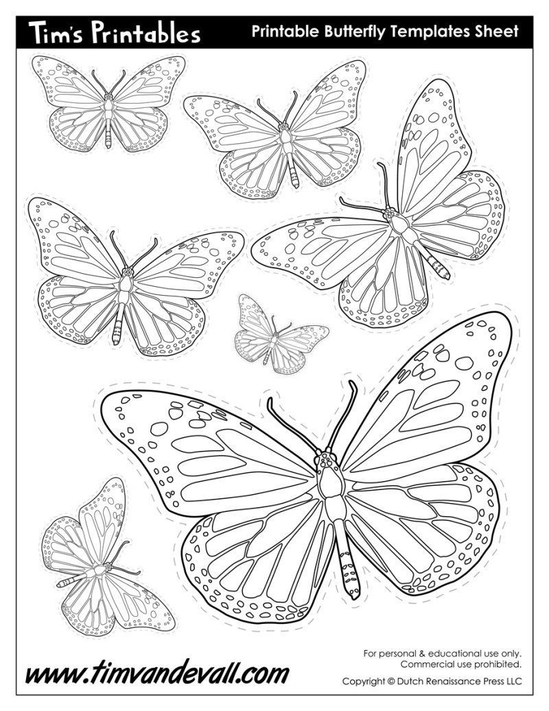 Butterfly Printables - Tim's Printables