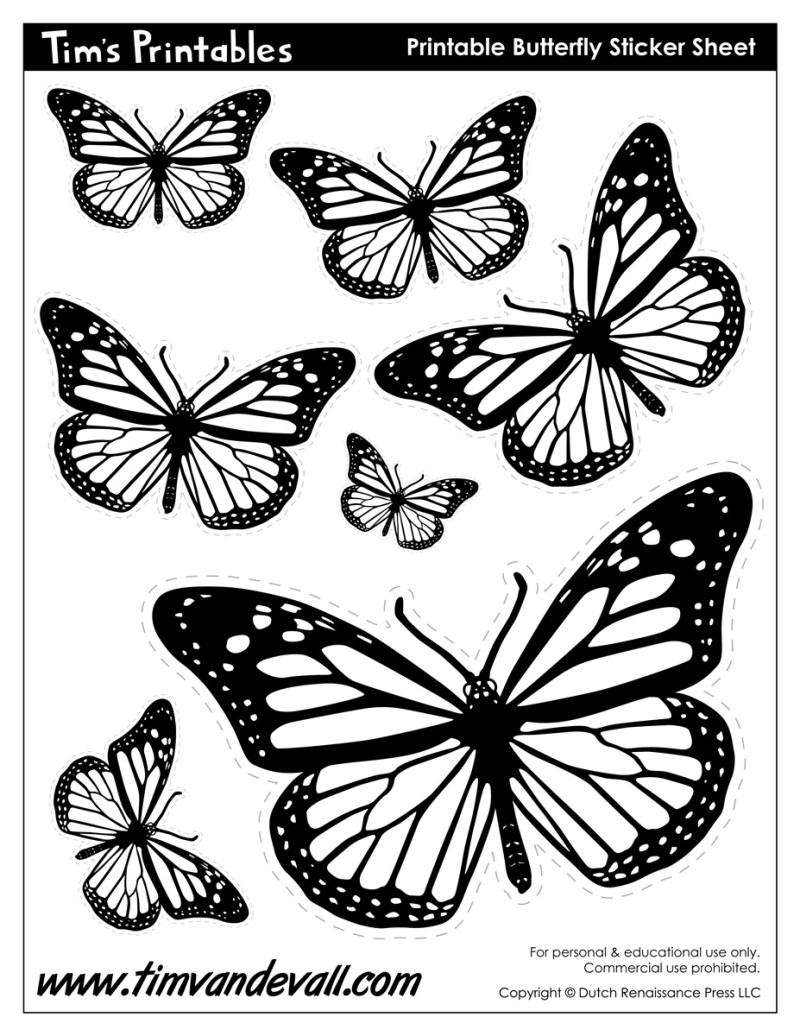 Butterfly Templates - Tim's Printables