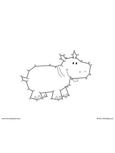 Hippo Dot-to-Dot - Easy - Tim's Printables