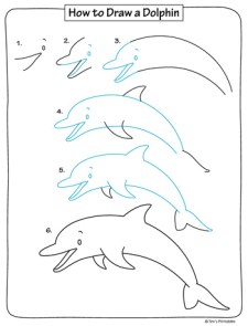 Dolphin Drawing Tutorial - Tim's Printables