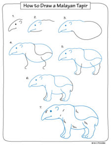 how-to-draw-a-malayan-tapir-bw-350 - Tim's Printables