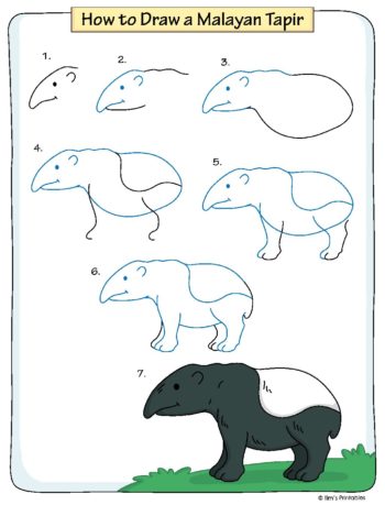how-to-draw-a-malayan-tapir - Tim's Printables