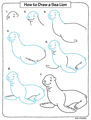 how-to-draw-a-sea-lion-bw-350 - Tim's Printables