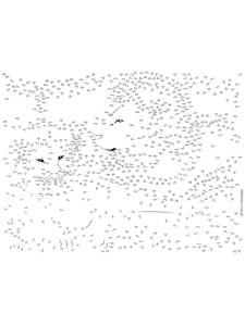 Lion Dot-to-Dot - Tim's Printables
