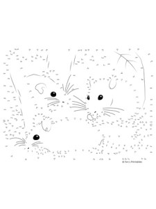 Mouse Dot-to-Dot - Tim's Printables
