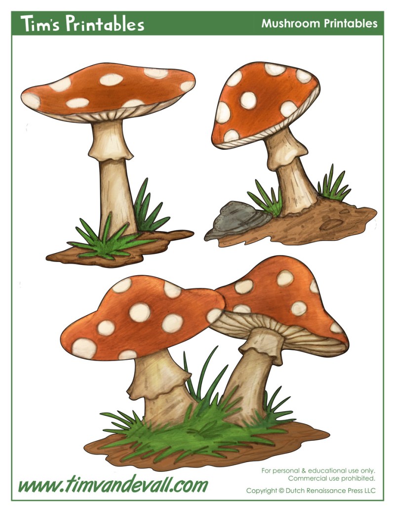 Mushroom Template – Tim's Printables