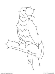 Parrot Dot-to-Dot - Easy - Tim's Printables