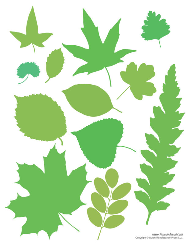 printable-leaves - Tim's Printables