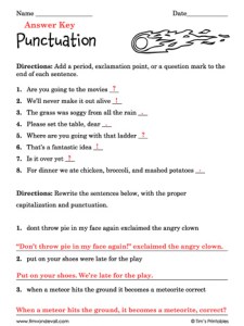 Punctuation Worksheet - Tim's Printables