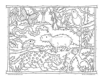 Rainforest Dot-to-Dot - Tim's Printables