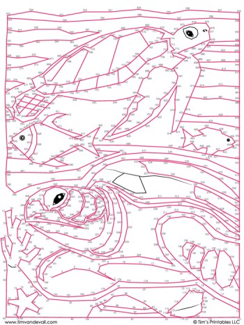 Reptiles Archives - Tim's Printables